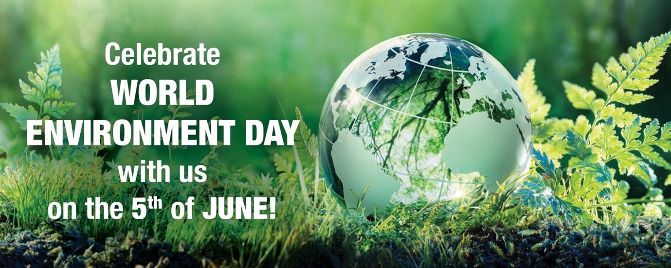 WORLD ENVIRONMENT DAY – Plumbing