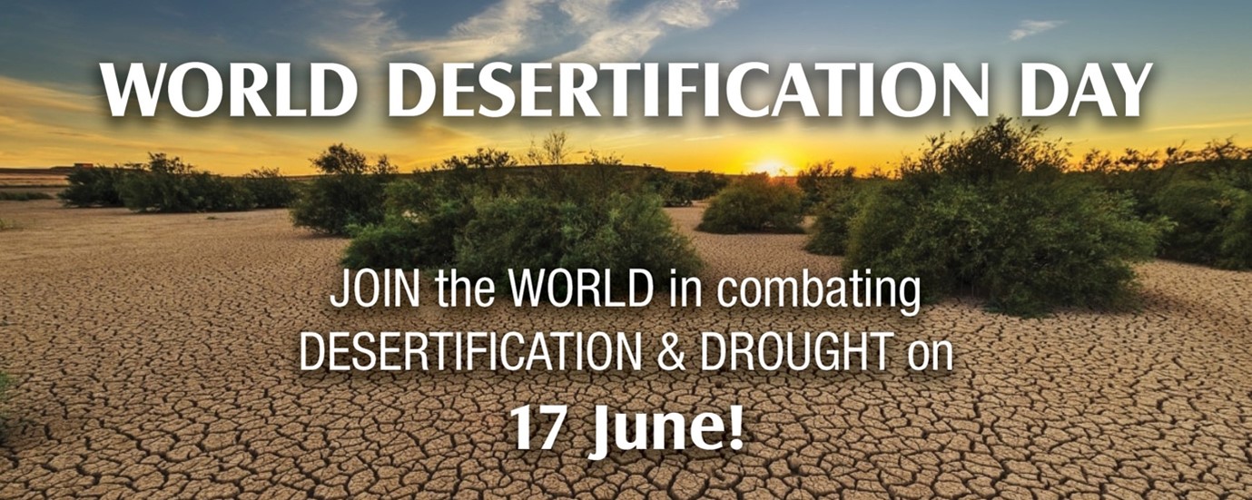 Desertification – Plumbing